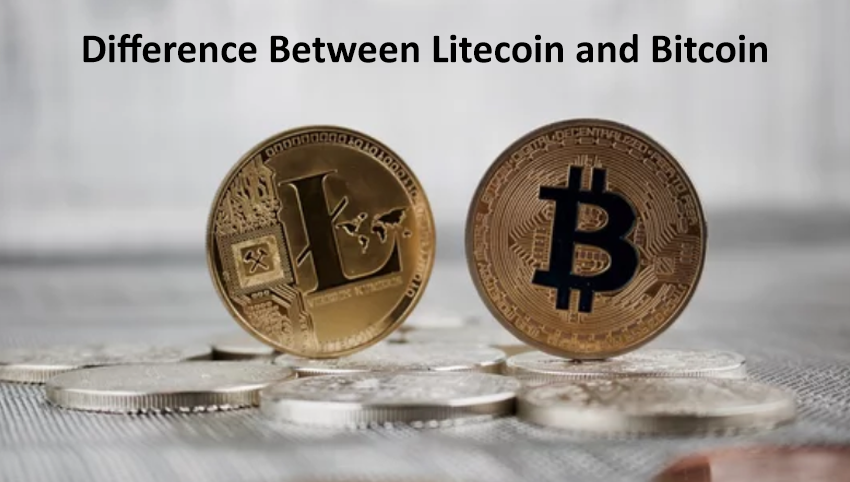 Difference Between Litecoin and Bitcoin - Web3 Universe